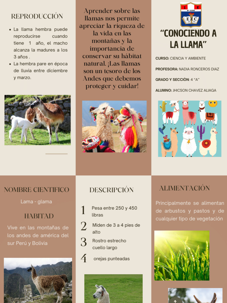 Reproducción y Hábitat de Llamas | PDF