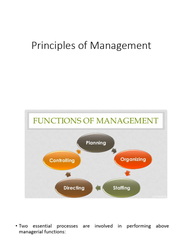 14 Principles of Management Explained | PDF | Social Psychology ...