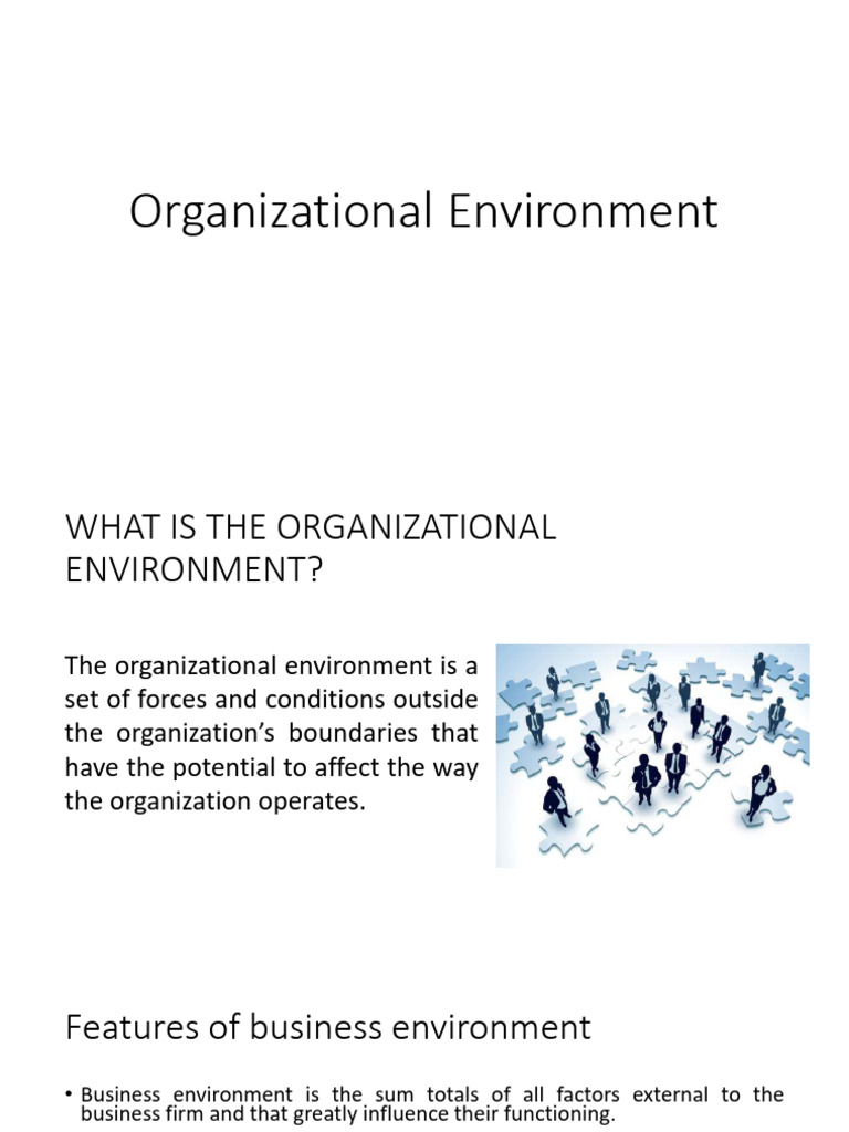 Organizational Environment | PDF | Swot Analysis | Macroeconomics