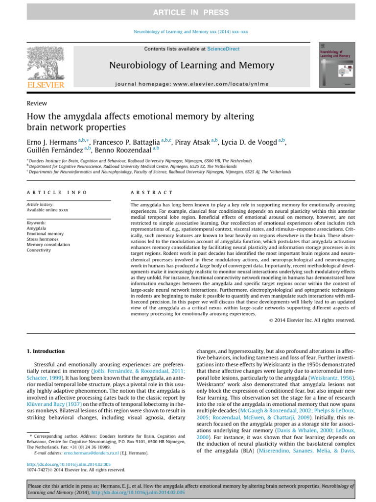 Hermans Et Al. (2014) - How The Amygdala Affects Emotional Memory by ...