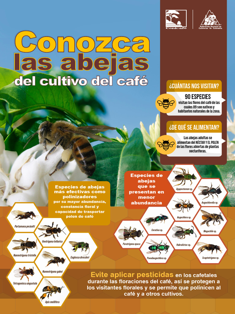 AFICHE_CONOZCA_LAS_ABEJAS | PDF | Abejas | Animales domesticados