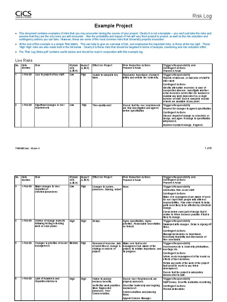 Risk Log Example | PDF | Risk Management | Business Process