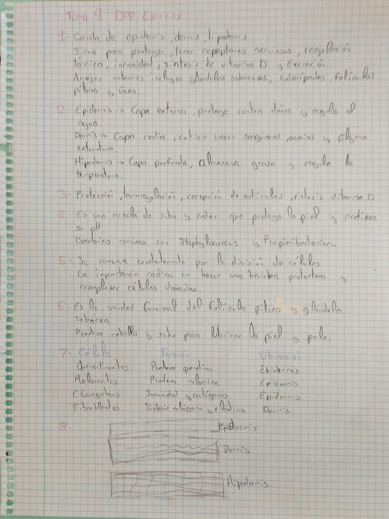 Ejercicios 9 DPP | PDF