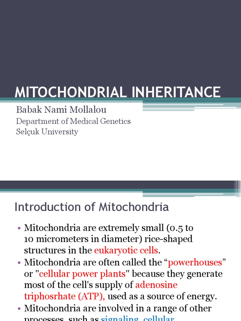 Mitochondrial Inheritance (Maternal Inheritance) | PDF | Mitochondrial Dna | Mitochondrion