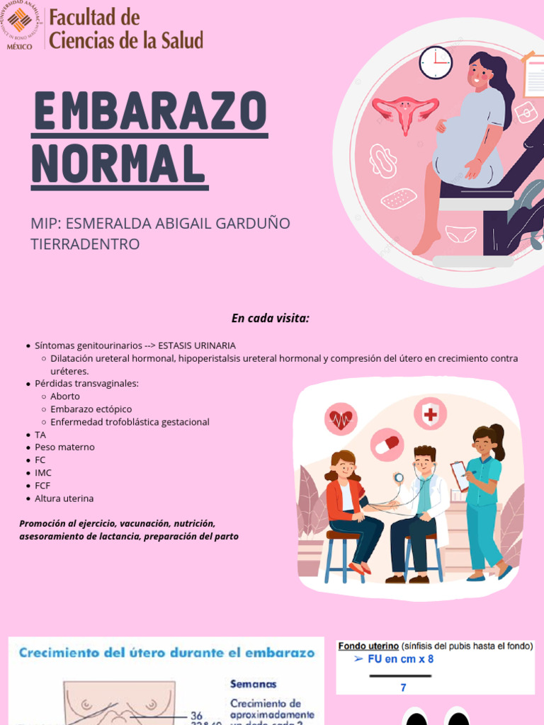 Embarazo Normal | PDF | El embarazo | Especialidades Medicas