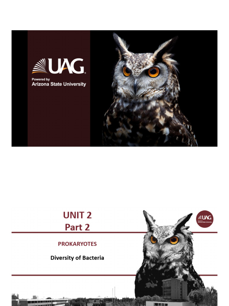 UNIT 2_part2_26 abril | PDF | Bacteria | Salmonella