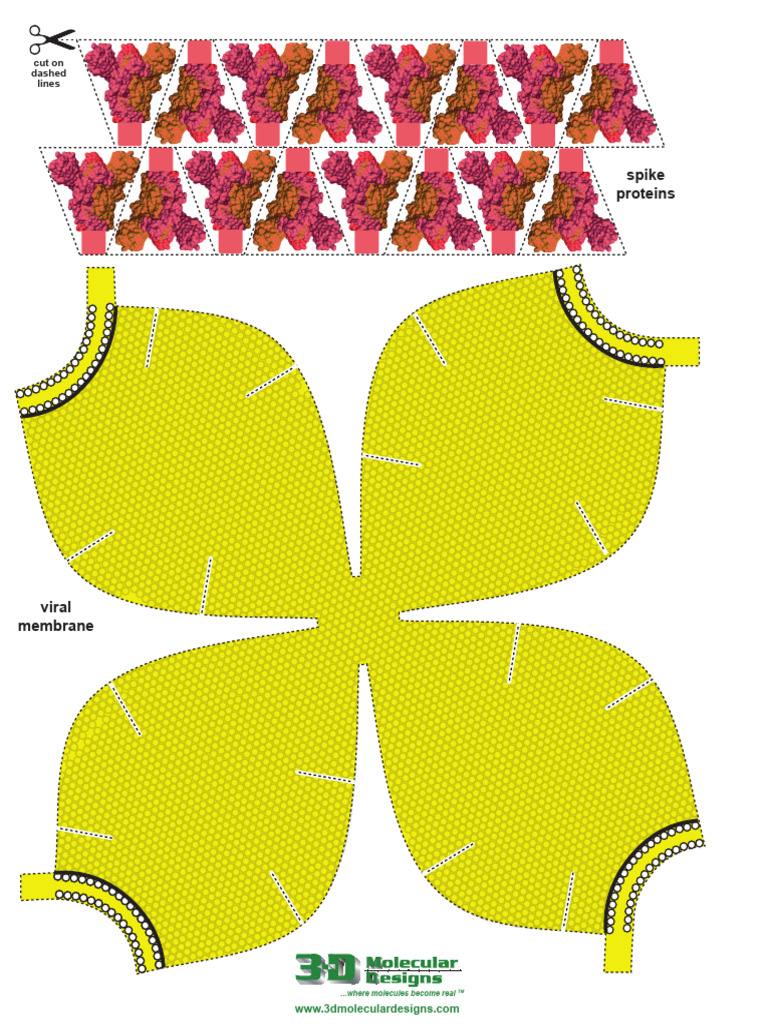 Color Paper Activity | PDF