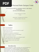 Cuencas Hidrograficas y Cuenca Exorreica | PDF | Cuenca de drenaje | Río