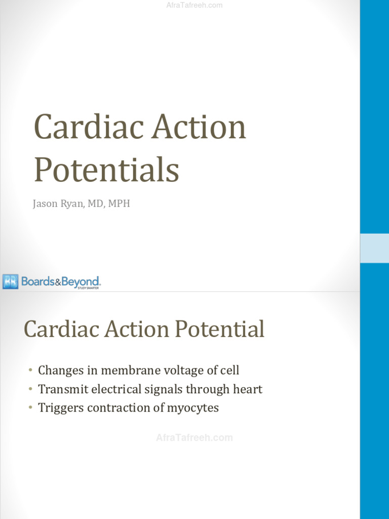 Cardiac Action Potentials atf | PDF | Action Potential | Heart Rate