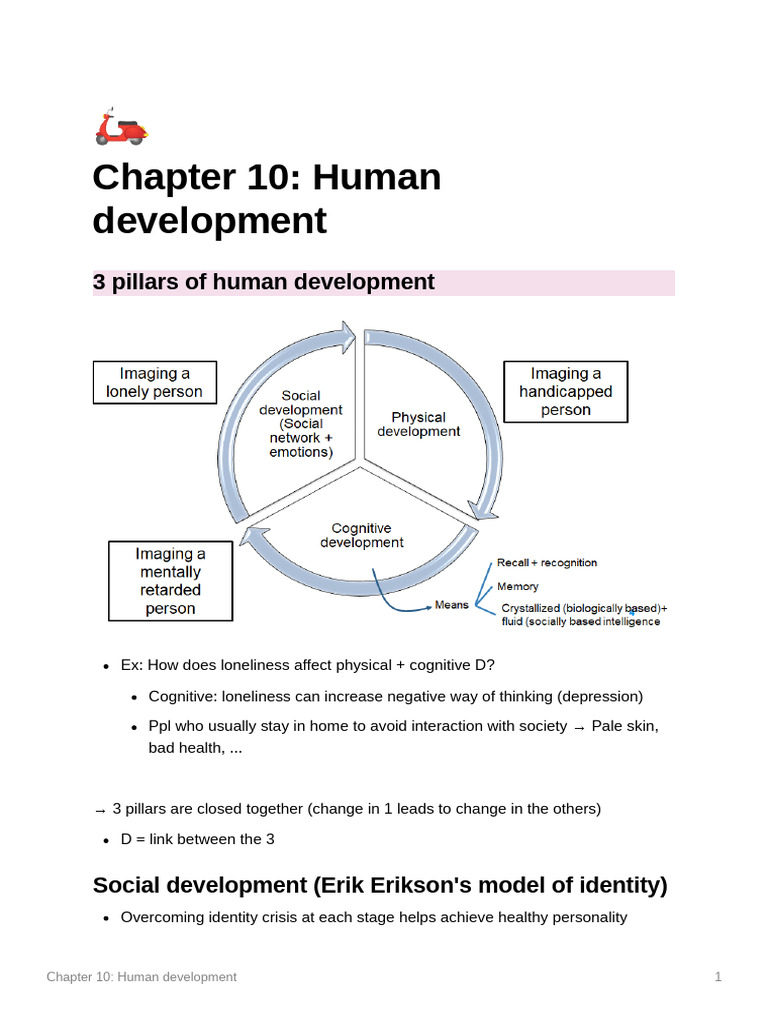 Human Development Stages | PDF | Developmental Psychology | Behavioural ...