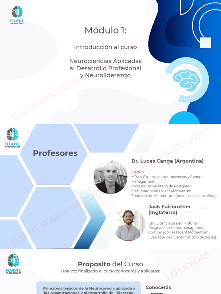 Introducción Al Neuroliderazgo | PDF | Liderazgo | Neurociencia