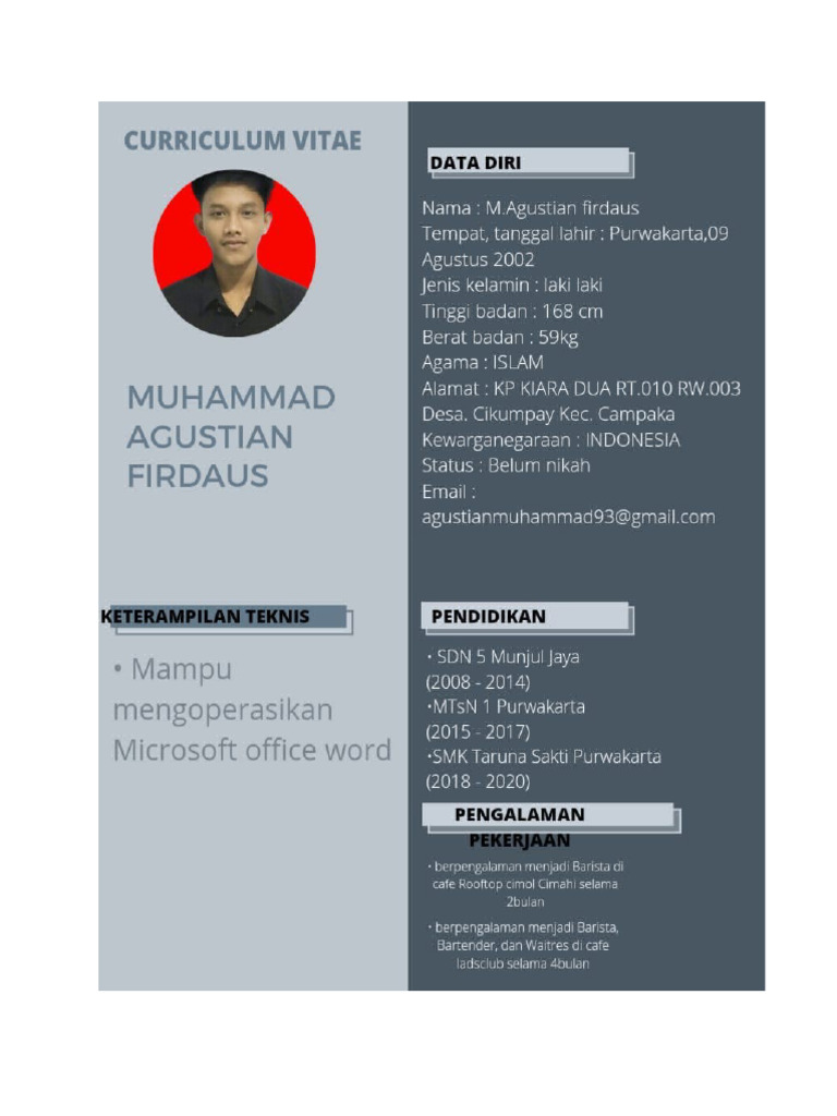 CV Muhammad Agustian Firdaus | PDF