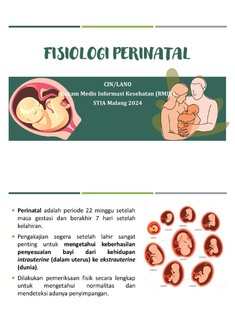 Fisiologi Perinatal - CIN | PDF