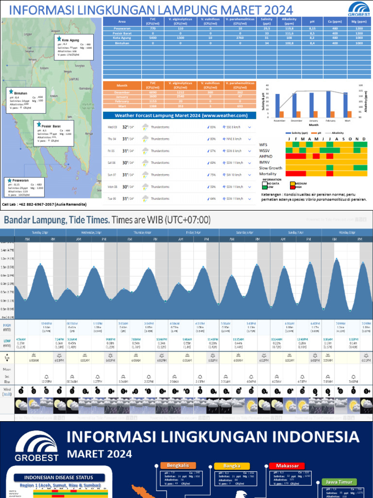 Informasi Lingkungan Lampung - Maret 2024 - 240403 - 190159 | PDF | Hydrography | Water