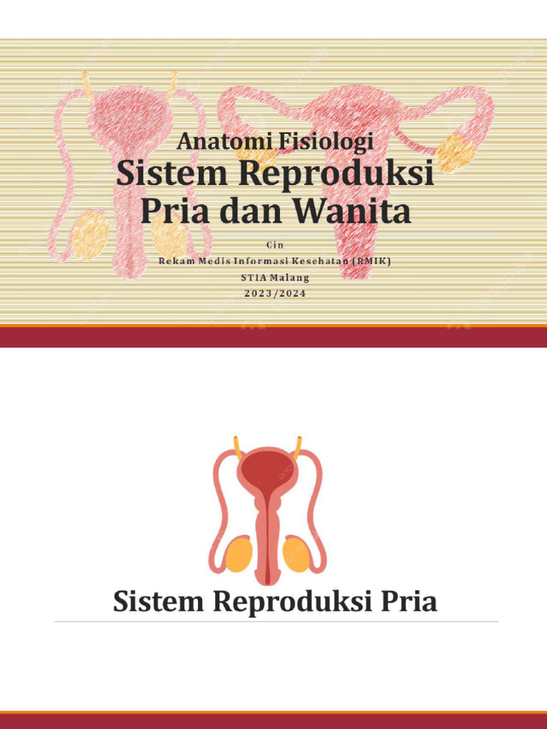 Anatomi Fisio Sistem Reproduksi | PDF