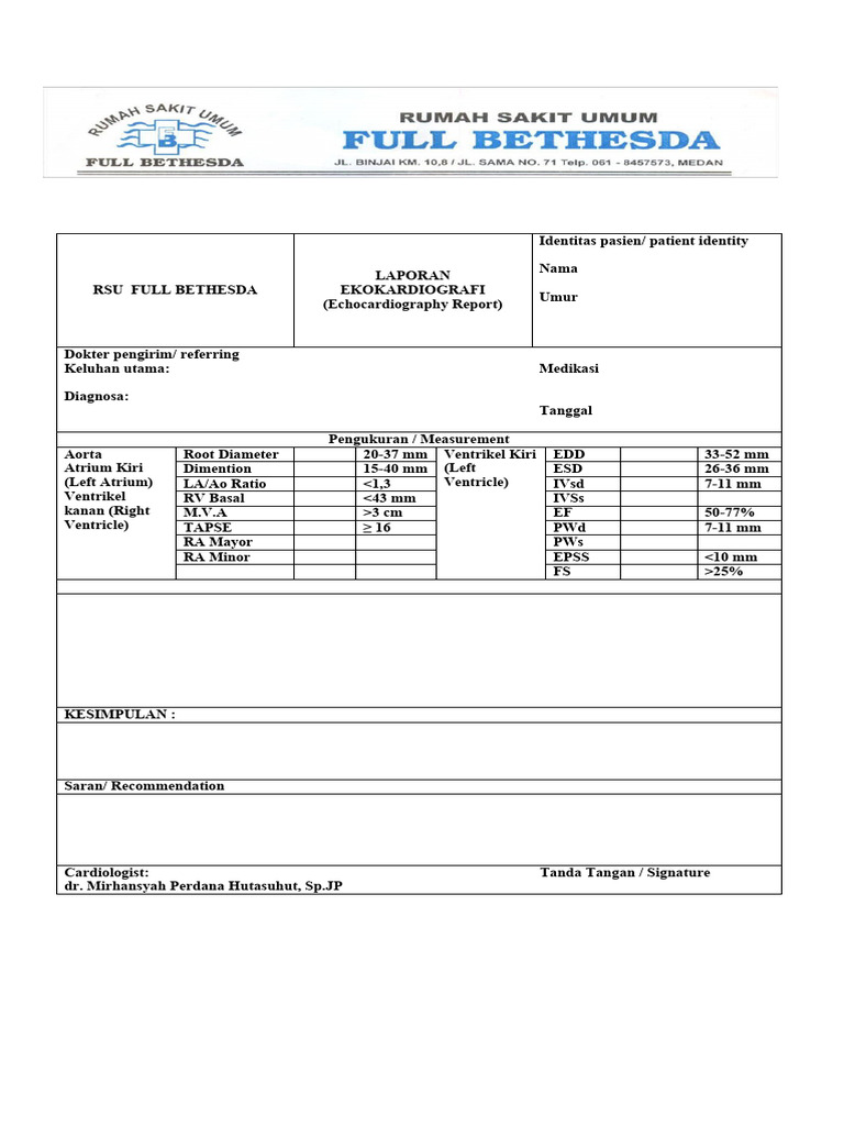 Echocardiography Report Summary | PDF