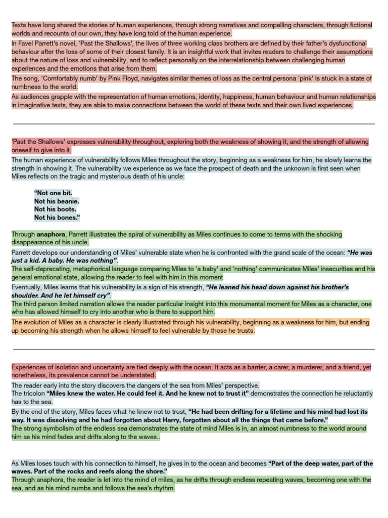 Texts and Human Experiences - Past The Shallows (20-20 Essay) | PDF | Grief