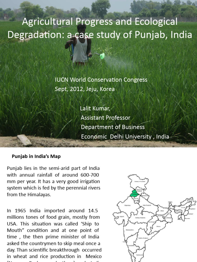 Punjab's Agricultural Challenges | PDF | Agriculture | Wheat