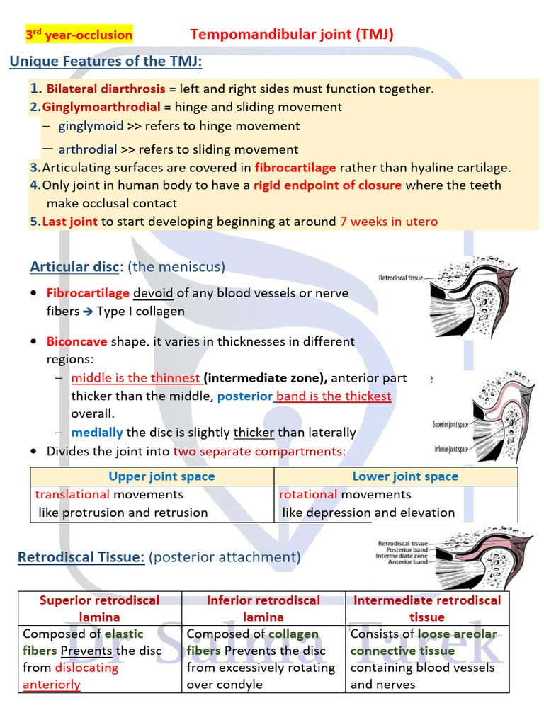 Tempomandibular Joint (TMJ) : Unique Features of The TMJ: 1 | PDF | Anatomy | Musculoskeletal System