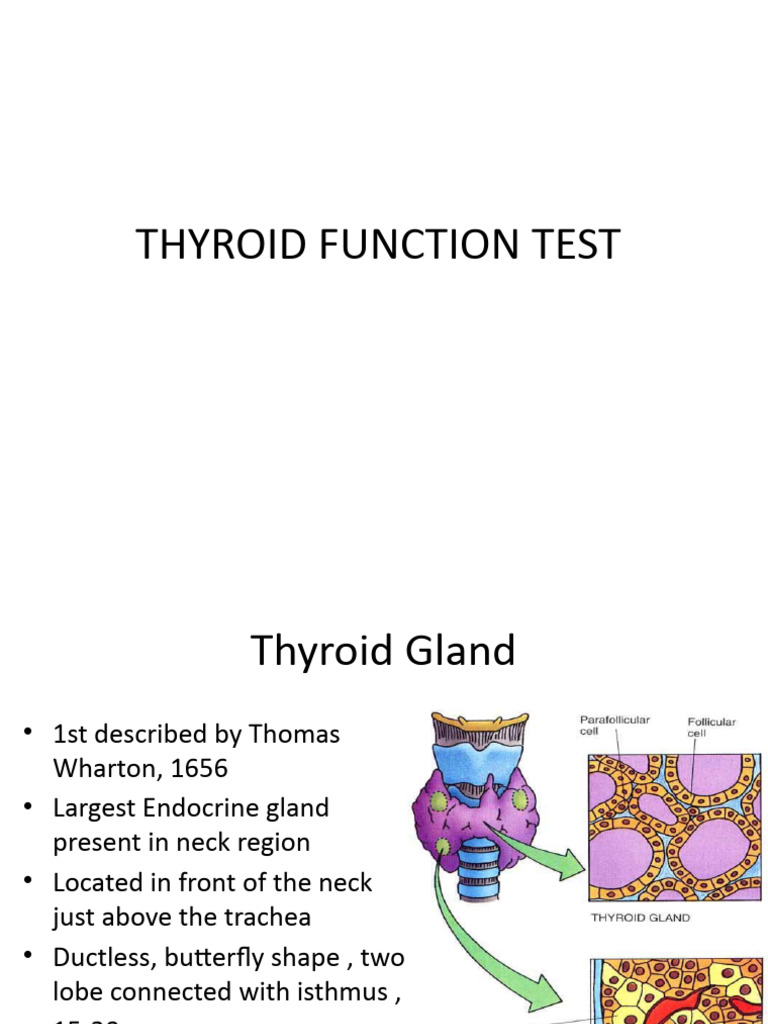 THyroid Function Test 123 | PDF | Thyroid | Hypothyroidism