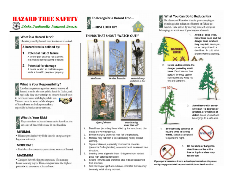tree hazard | PDF | Trees | Hazards