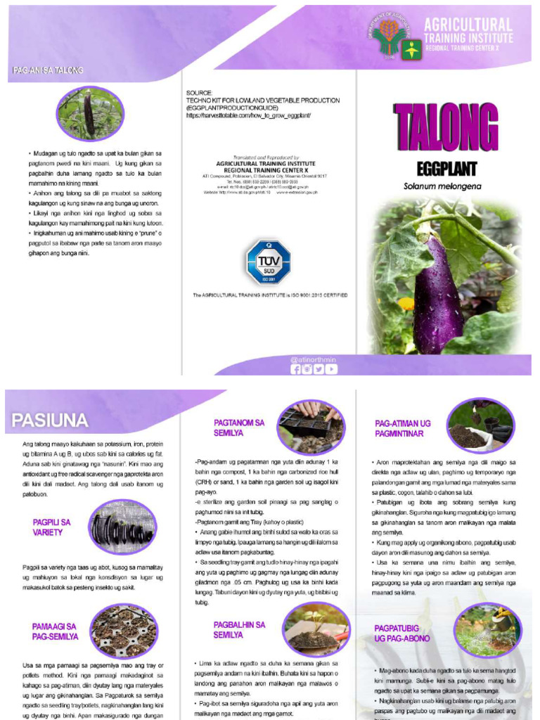 Talong Production Guide | PDF