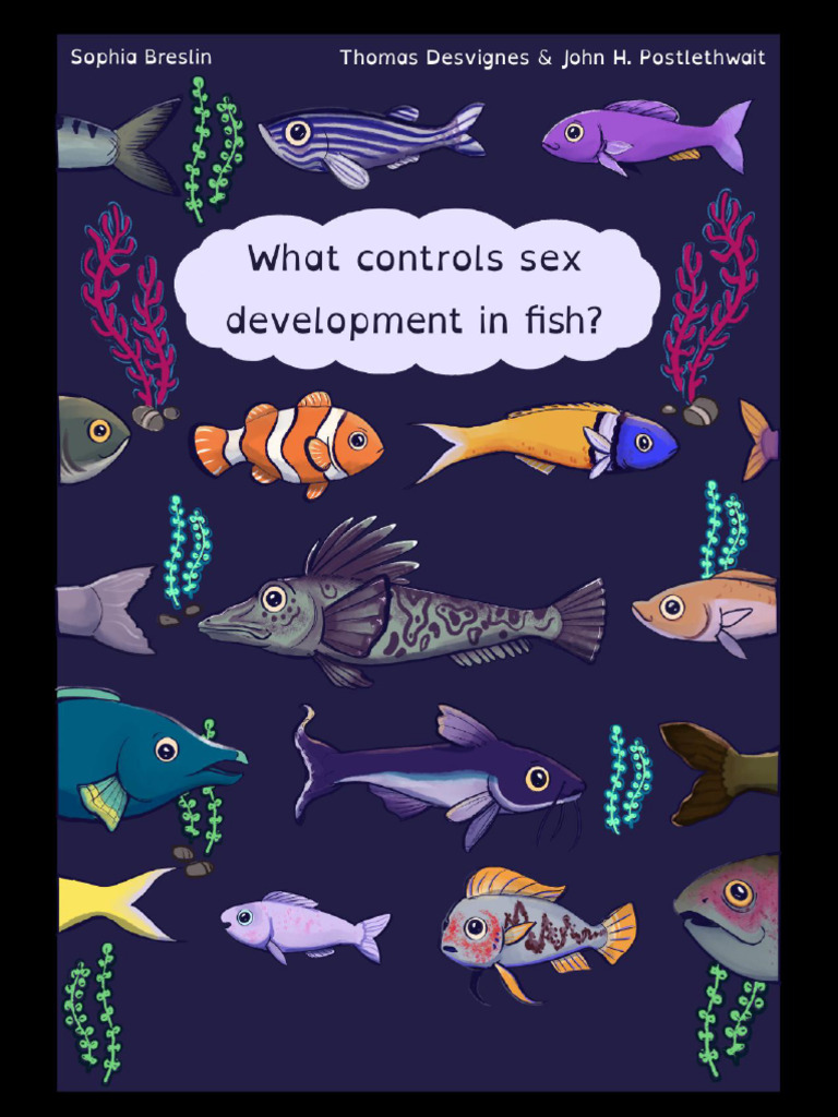 What Controls Sex Development in Fish | PDF