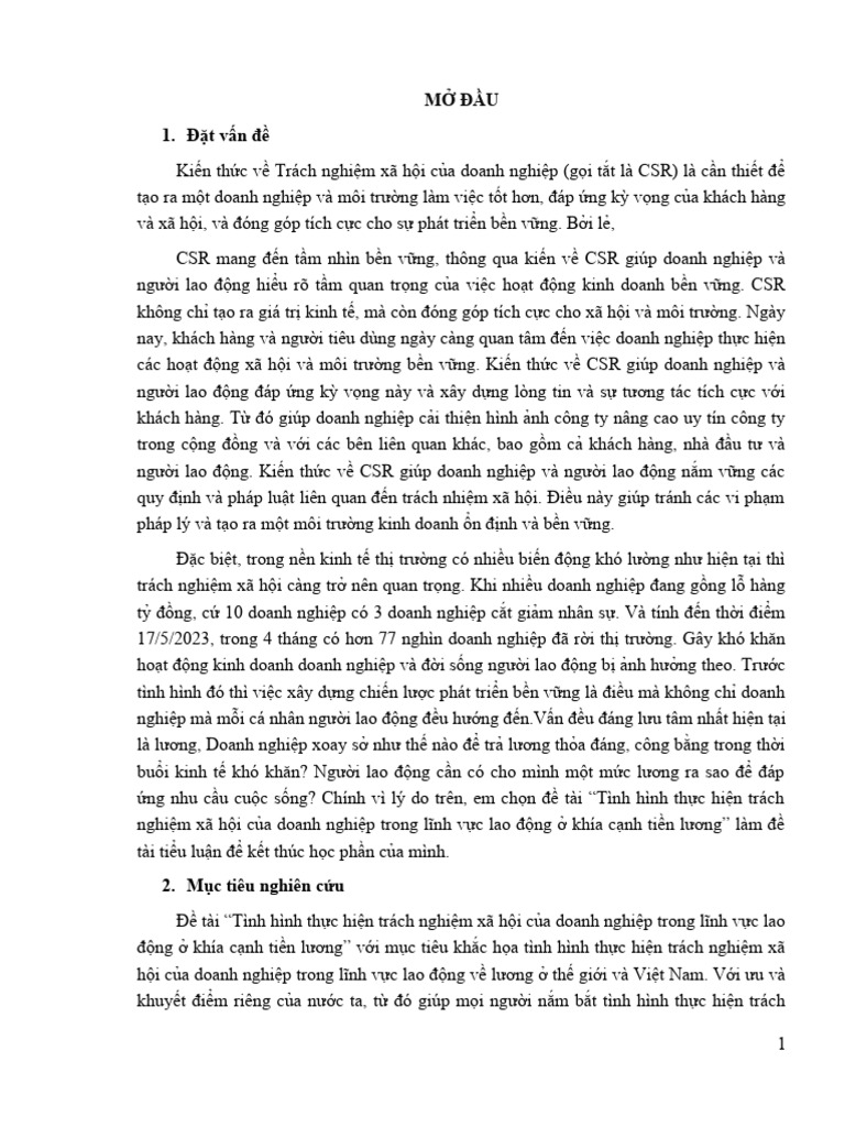 Huong Dan Viet Tieu Luan CSR - 2023 | PDF