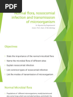NEL Primary Care Infection Guidelines | PDF | Antimicrobial Resistance ...