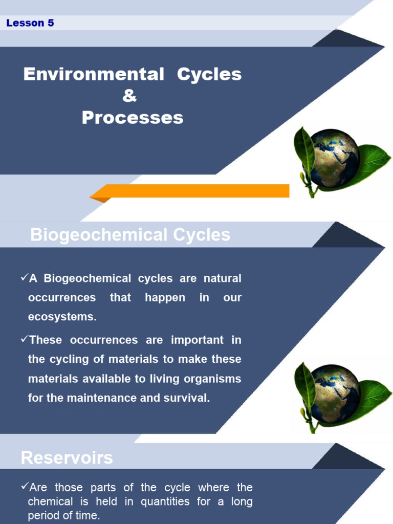Biogeochemical Cycles Explained | PDF | Water | Water Cycle