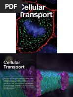 Amoeba Sisters Video Recap | PDF | Cell Membrane | Cell (Biology)