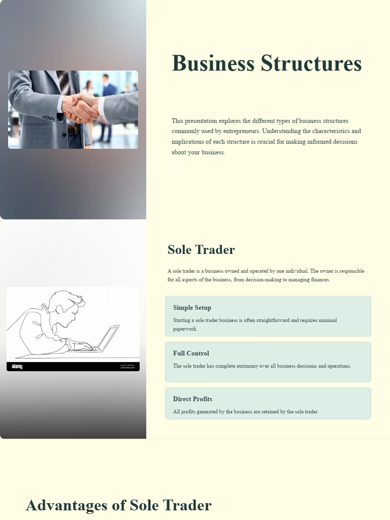 Business Structures | PDF | Sole Proprietorship | Partnership