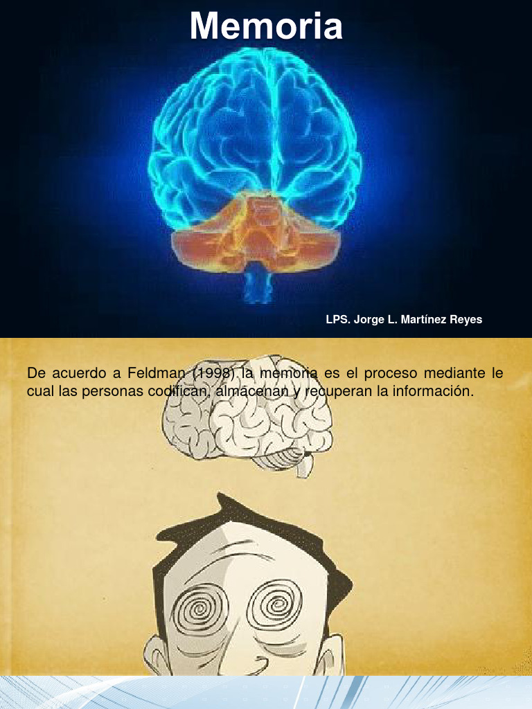 Tipos y Fases de la Memoria Humana | PDF | Memoria | Cerebro