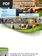 TILAPIA Fish Farming Handbook | PDF | Aquaculture