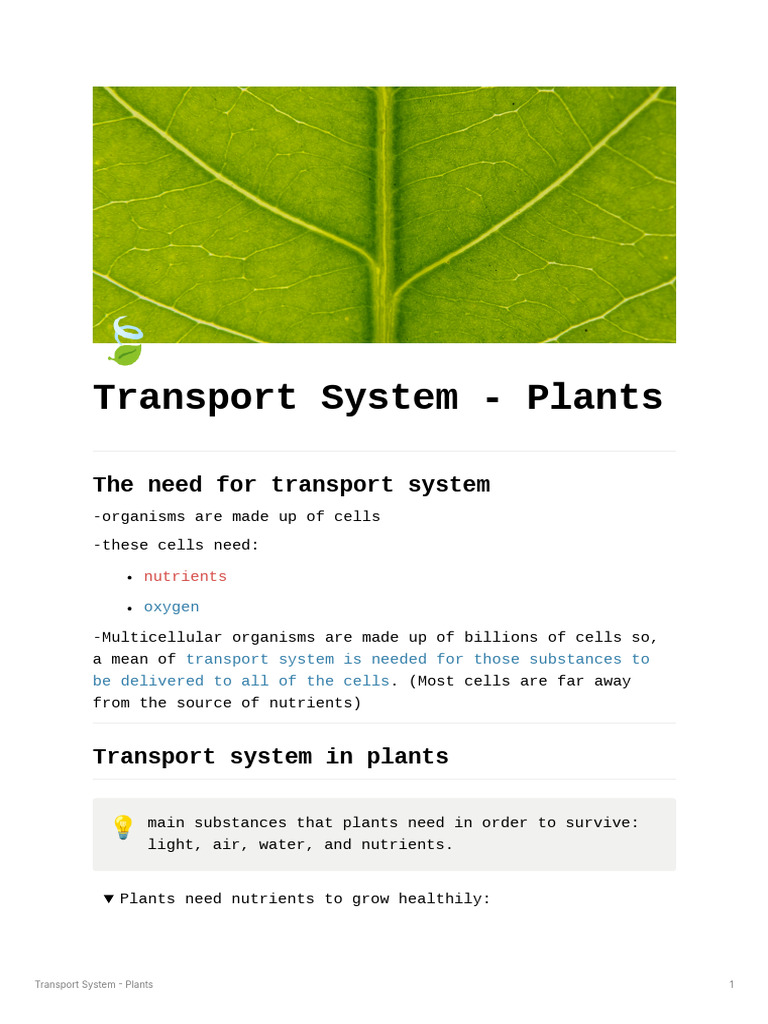 Transport System - Plants by Edward | PDF | Plant Nutrition | Osmosis