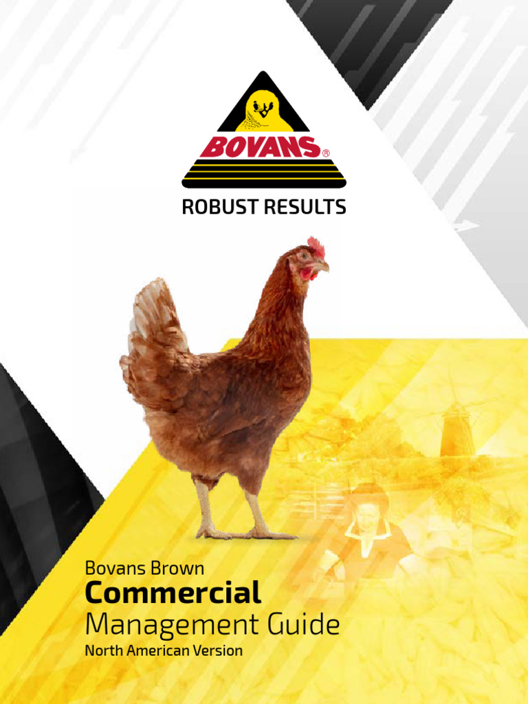 Bovans Brown Management Guide North America L4210-1-NA 9vVDLf3 | PDF ...