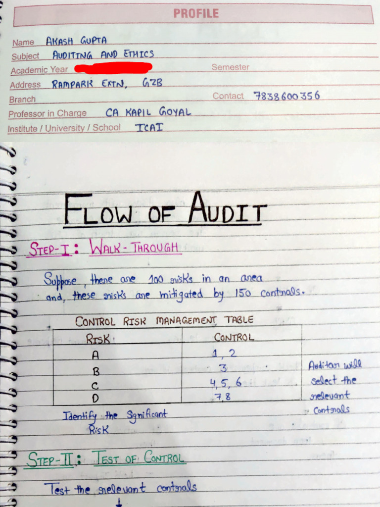 Handmade Charts of Standards On Auditing by Akash Gupta | PDF ...