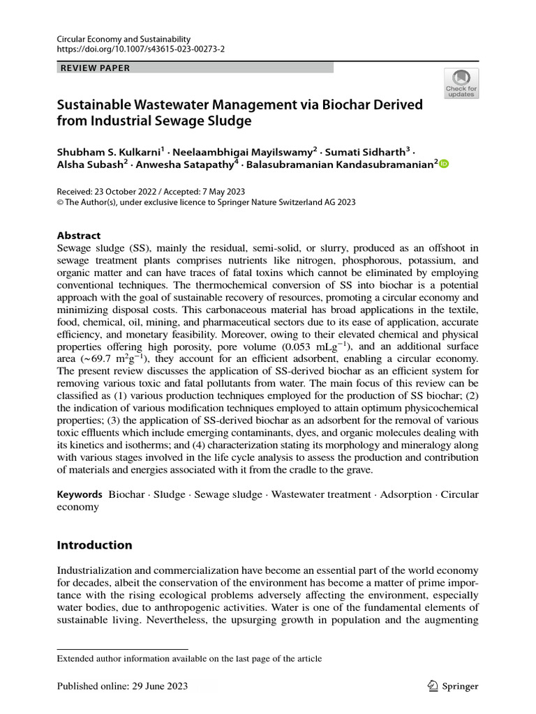 Review Paper | PDF | Pyrolysis | Sewage Treatment