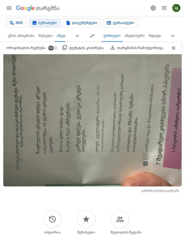 Google Translate | PDF