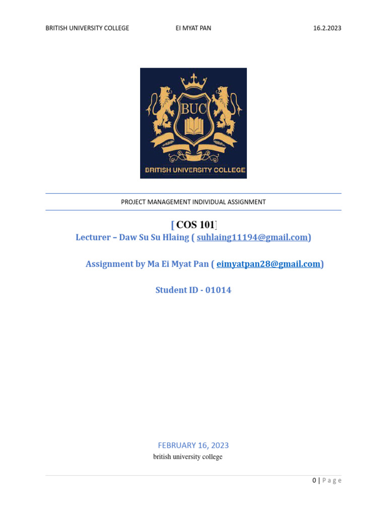 COS101 Individual Assignment | PDF | Risk | Risk Management