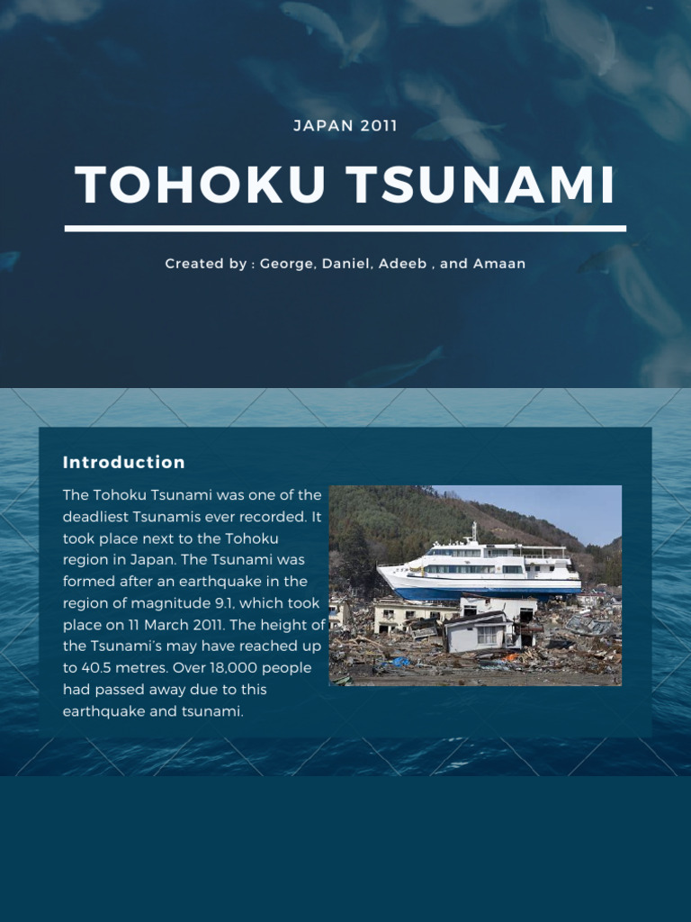 Tohoku Tsunami 2011 | PDF | Tsunami | Fukushima Daiichi Nuclear Power Plant