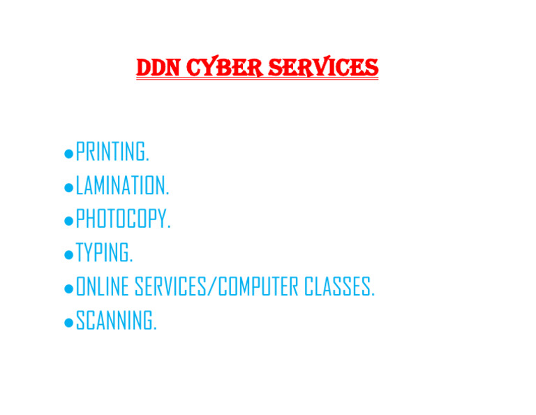 DDN Cyber Services | PDF