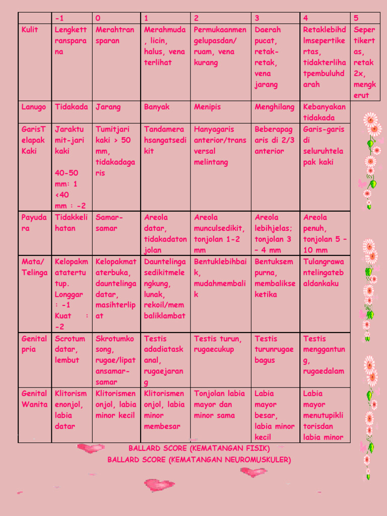 Ballard Score | PDF