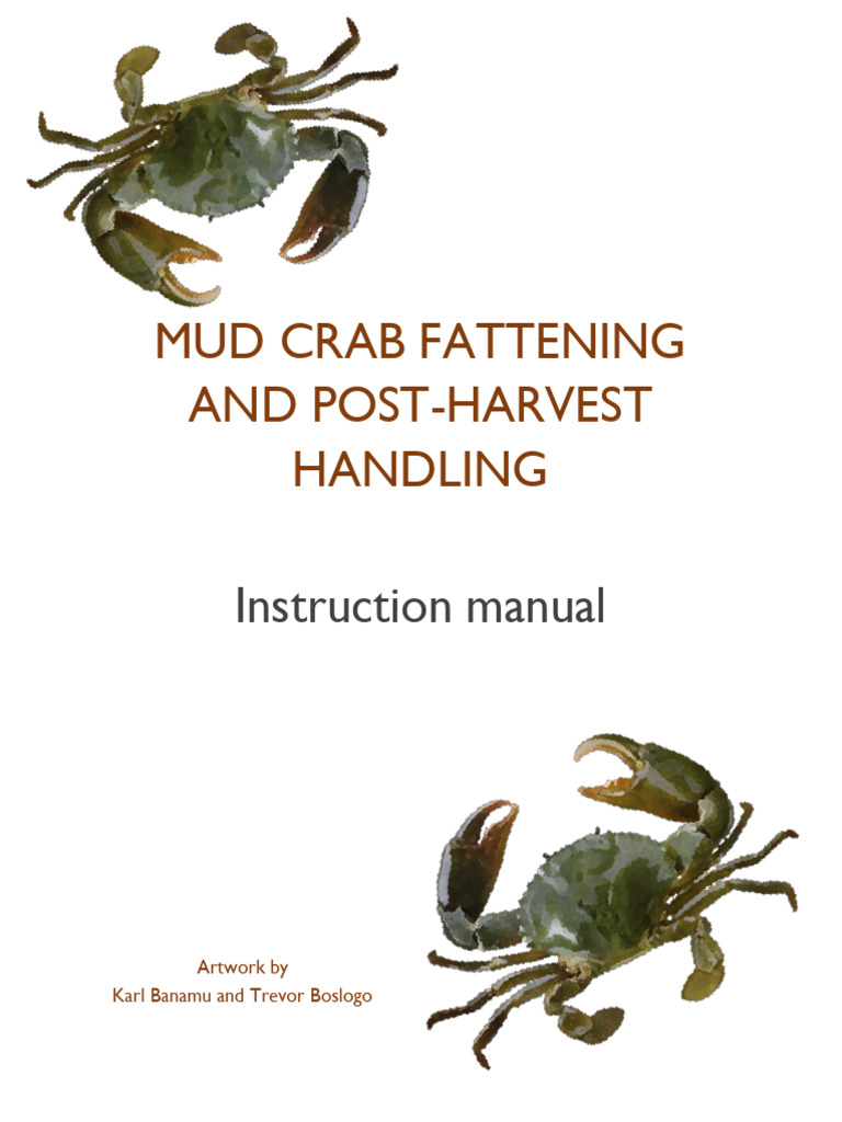 Mud Crab Farming Training Manual - Kavieng | PDF | Crab