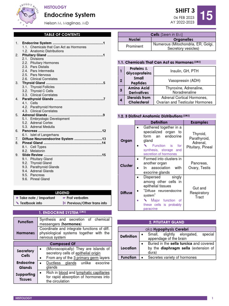 (HIS) 15 Endocrine System (v.2) | PDF | Adrenal Gland | Pituitary Gland