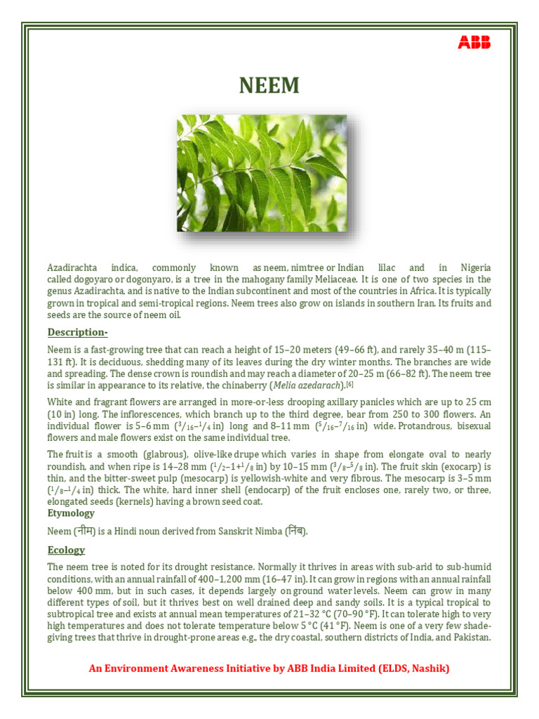 NEEM Tree | PDF | Plants | Botany