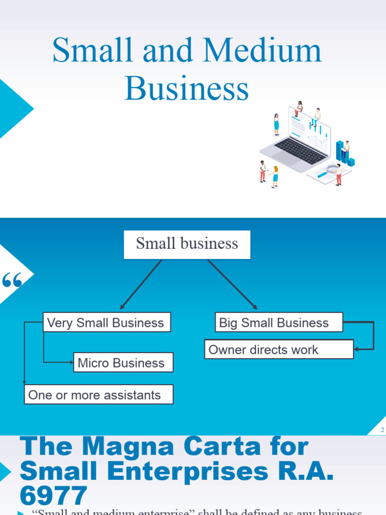 Small and Medium Enterprise | PDF | Small Business | Business