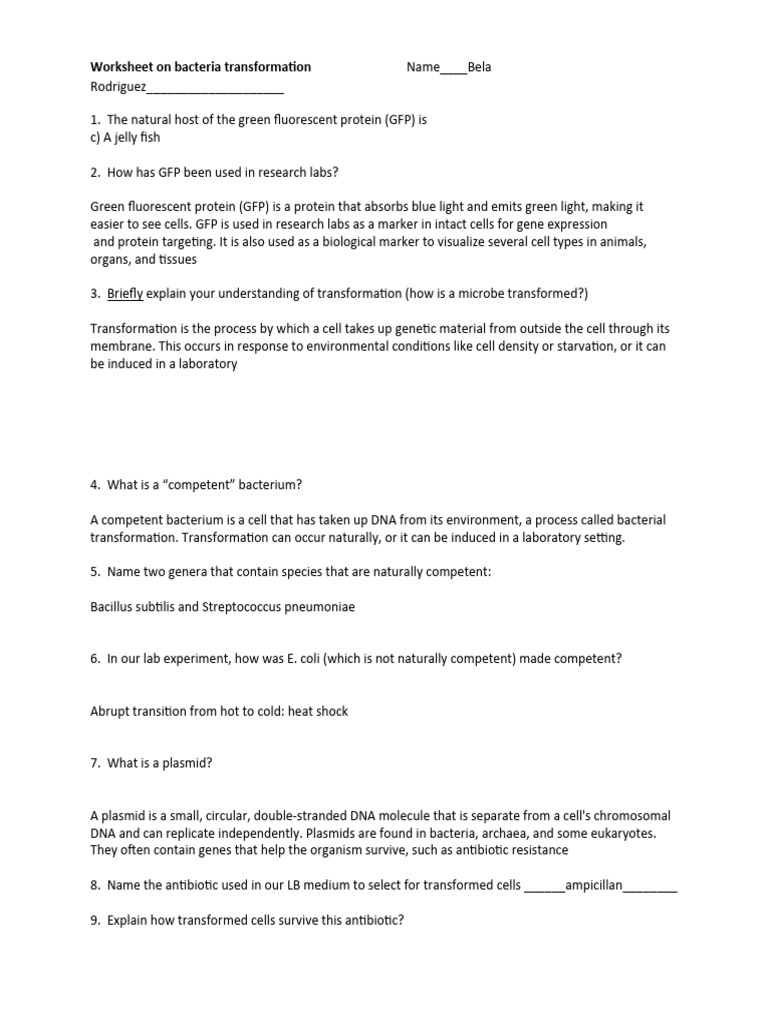 Bacterial Transformation Worksheet | PDF | Science & Mathematics