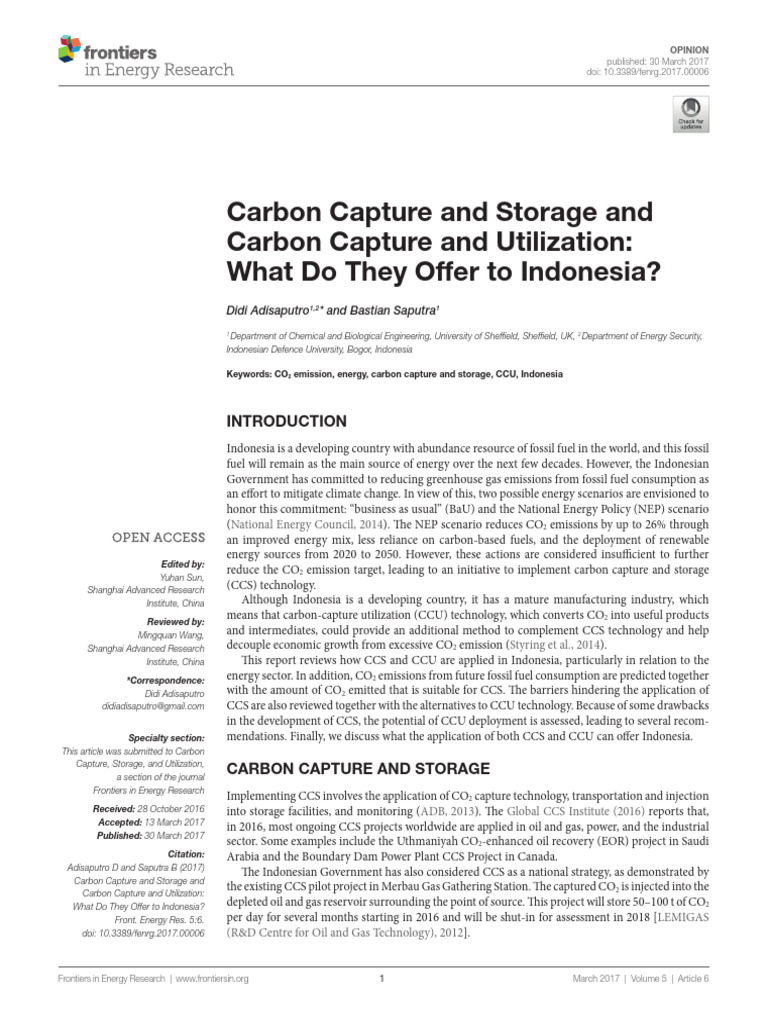 Carbon Capture and Storage and Carbon Capture and | PDF | Carbon ...