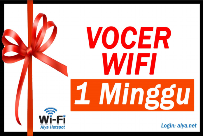 Vocer Wifi | PDF